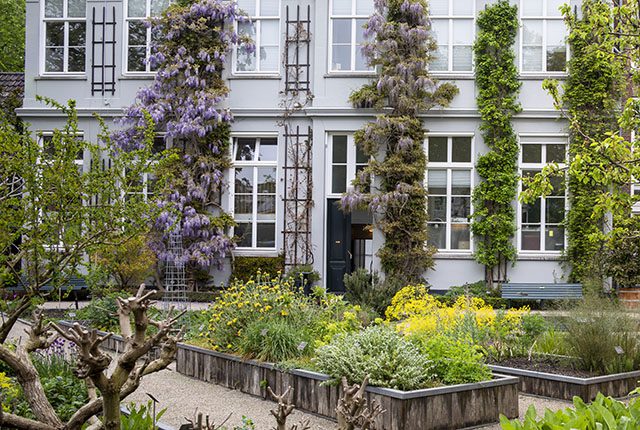 De Hortus is weer open | oost-online.amsterdam