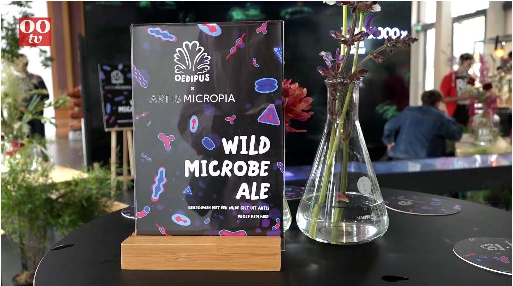 Bier van wilde gist ‘gevangen in Artis’ en opgekweekt door ...